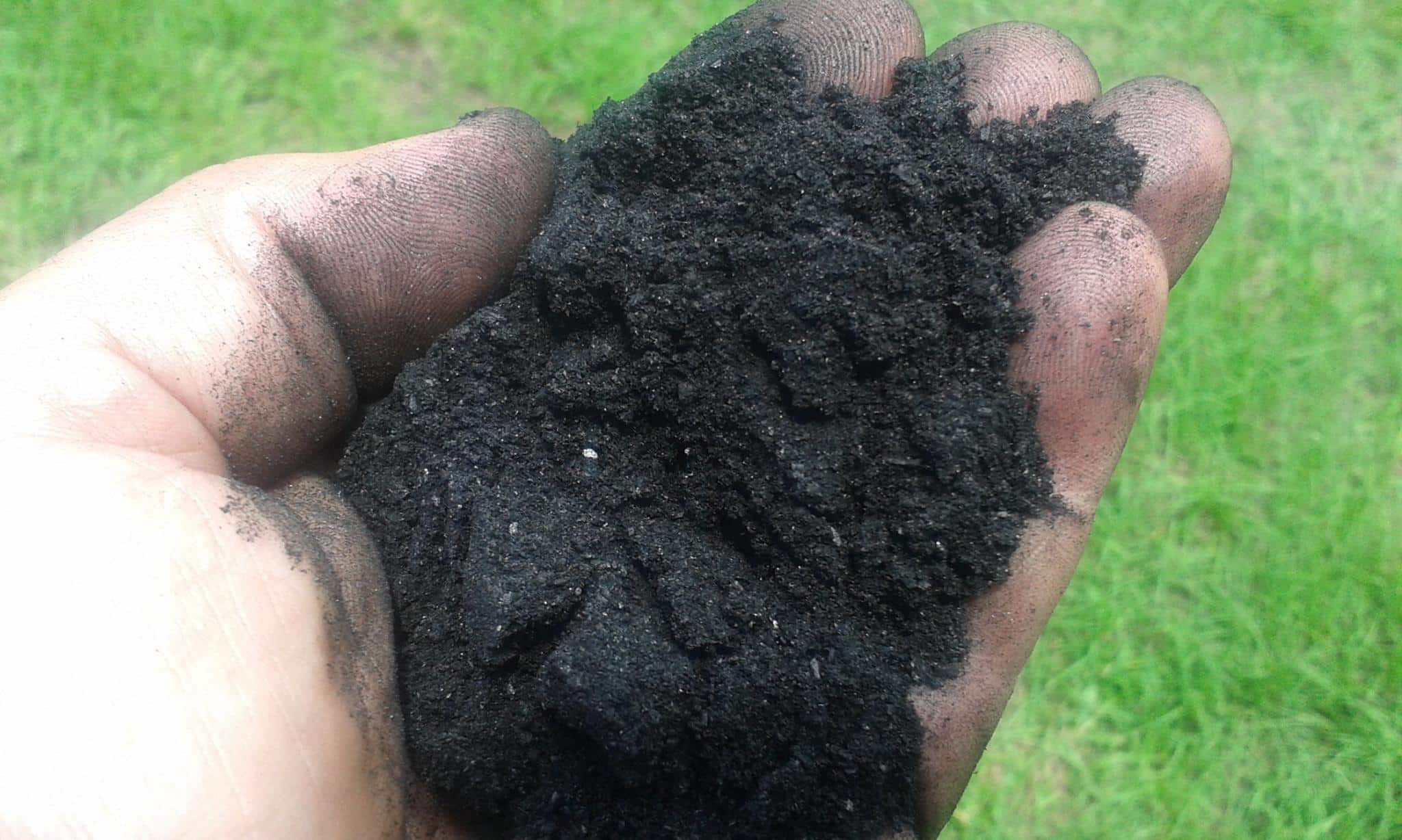 Biochar, tout savoir sur ses effets positifs pour l'agriculture